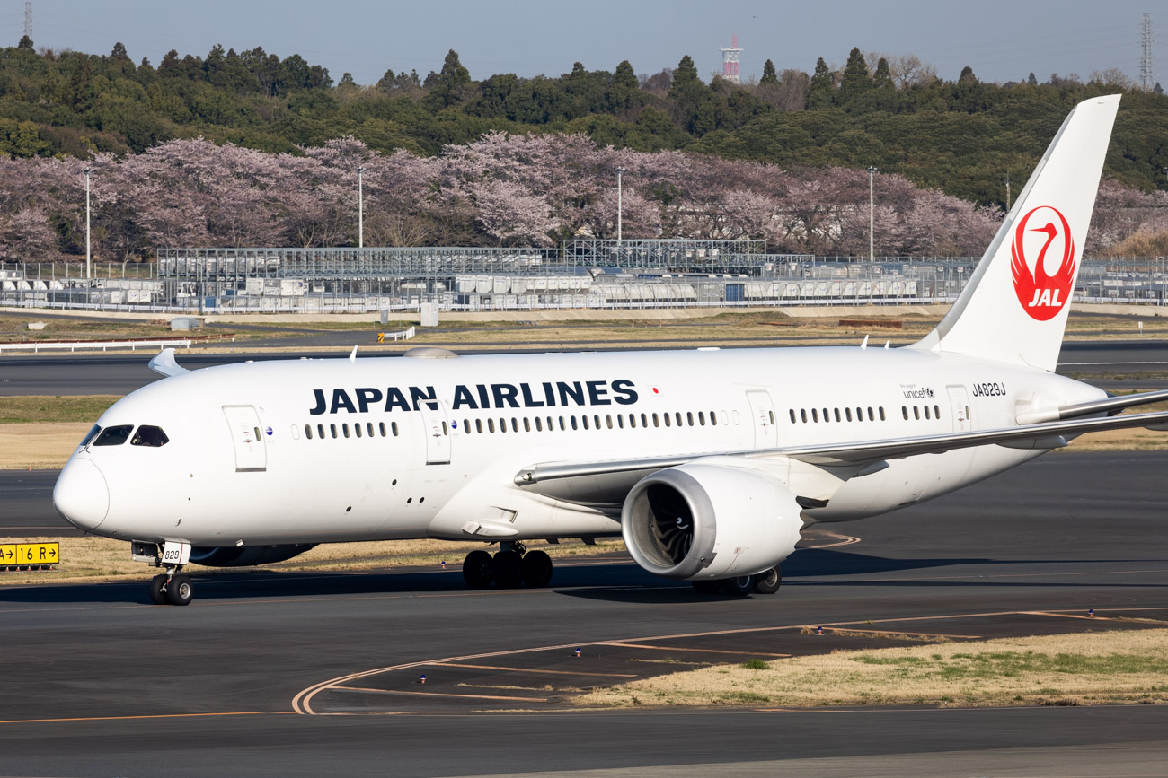 Japan Aviation Hub